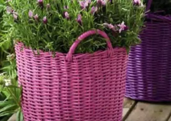 Wicker Container Garden