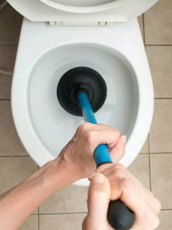 फ्लशिंग कचरा शौचालय को नुकसान पहुंचाता है