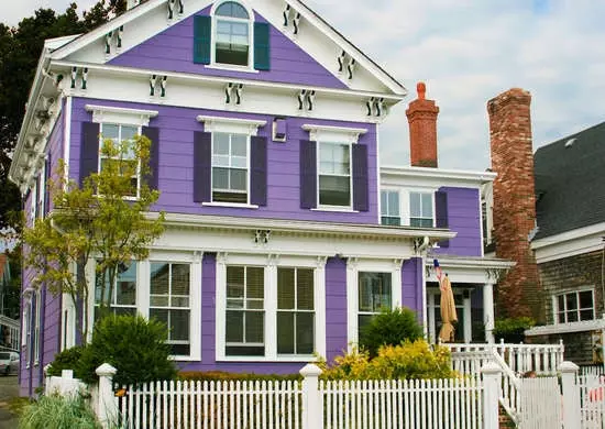 Purple Haus