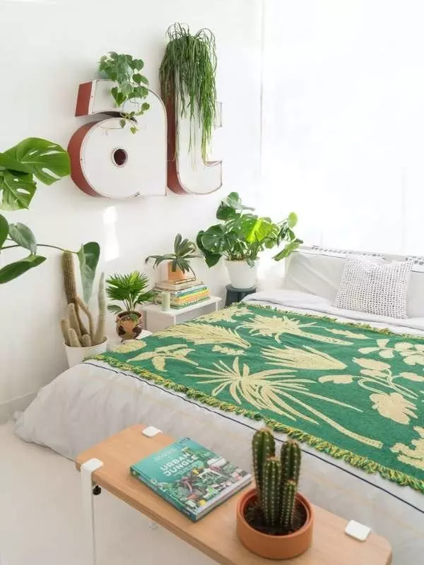 Plante as aksent klein slaapkamer