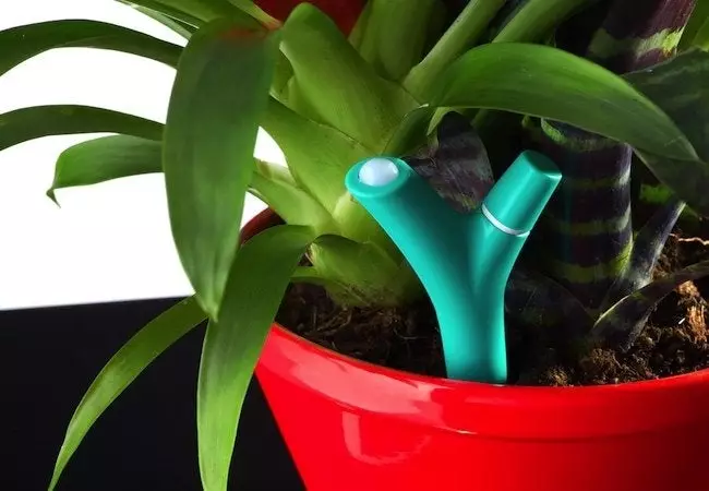 New Smart Home Technology 2015 - Parrot Flower Power
