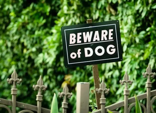 Seguridade do fogar de can falso