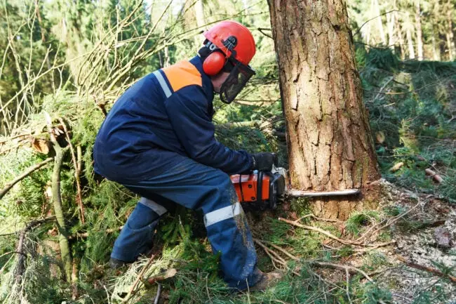 Sili Chainsaw Chaps