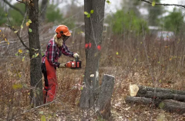 Chaps Chainsaw ທີ່ດີທີ່ສຸດສໍາລັບການປົກປ້ອງວຽກ