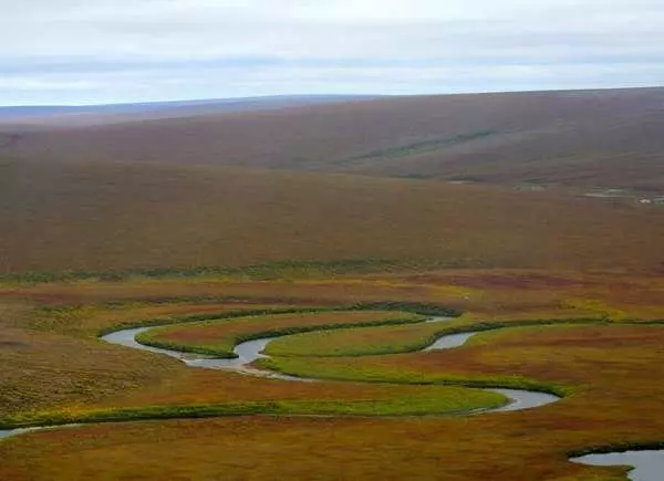 Bēringa zemes tilta nacionālais rezervāts, Nome, Aļaska