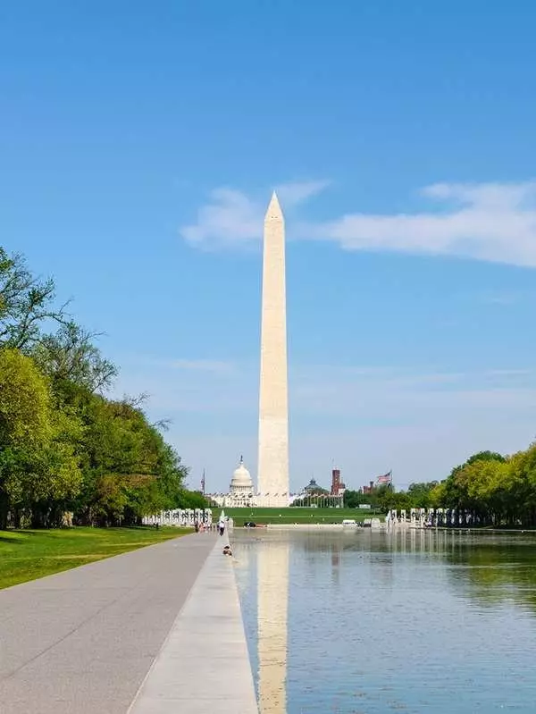 Problème de moustiques à Washington, D.C.