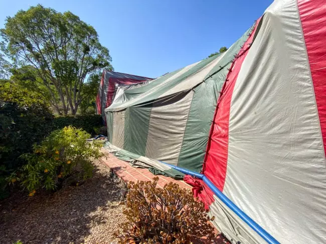 imah tenda keur rinyuh jeung fumigation