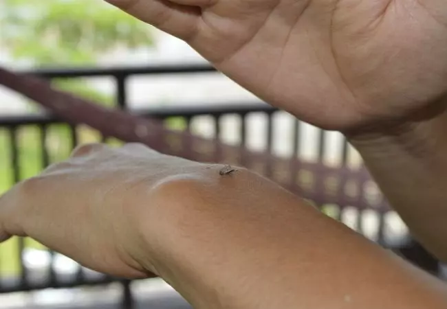DIY zamka za komarce
