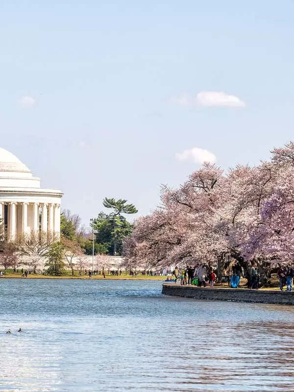 Bacino di marea del National Mall, Washington, DC