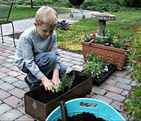 Detroit Mommies-Kids-in-the-garden