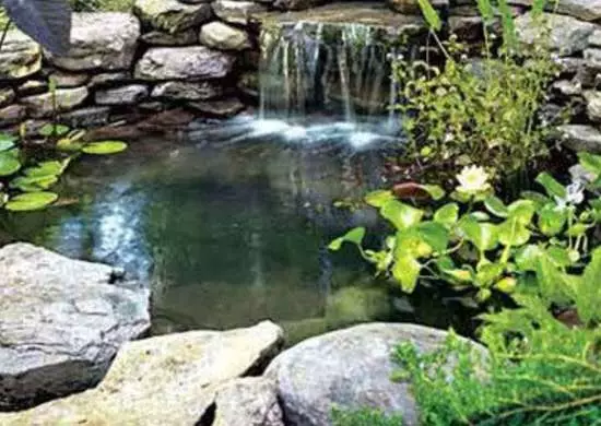 Езерце обложено со камен