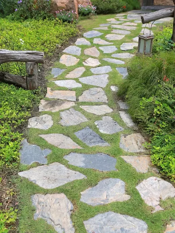 Steping Stones Walkway Ideas