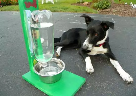 Автоматична миска для води для домашніх тварин своїми руками