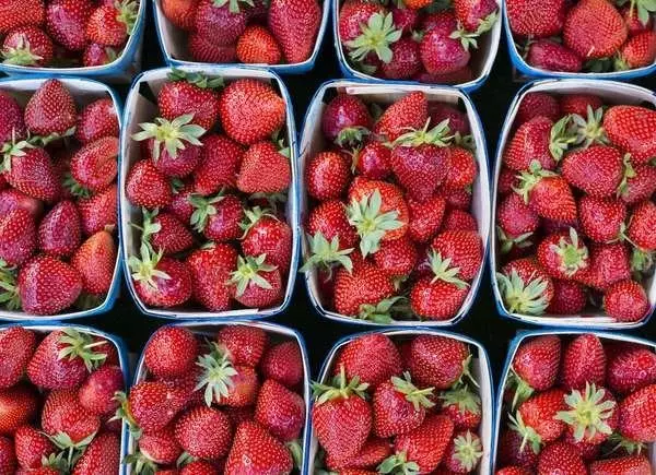 Erdbeeren nicht im Kühlschrank aufbewahren