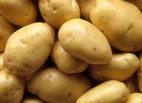 Kartoffel net am Kühlschrank
