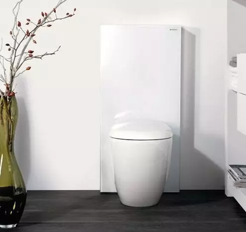 Угаалгын өрөөг шинэчлэх - Geberit Monolith