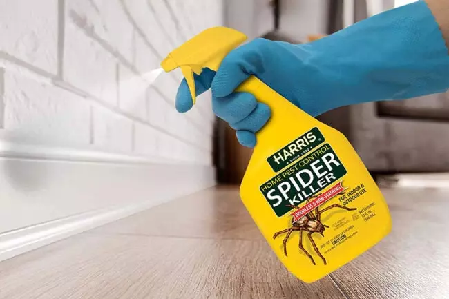De bedste Spider Killer-muligheder