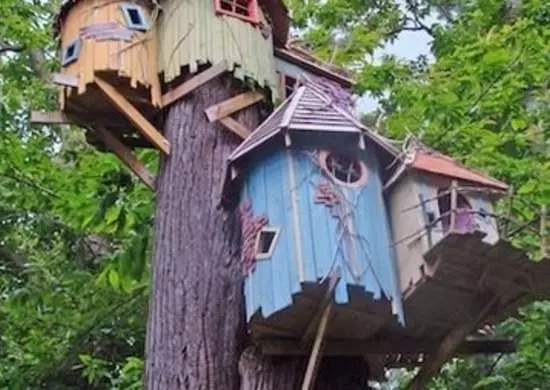 Ідеї будиночка на дереві