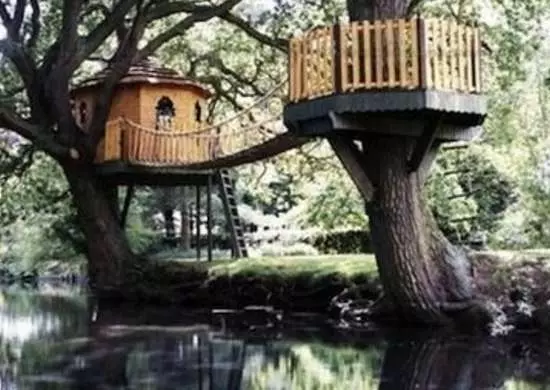 Šaunus namas medyje