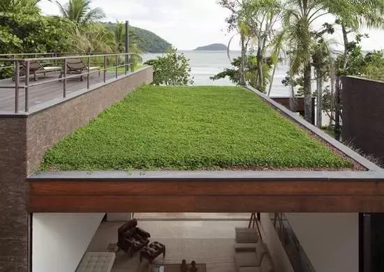 Rooftop Lawn