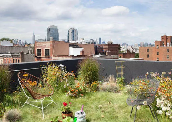 Rooftop Meadow