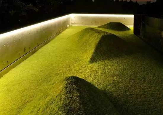 Roof Landscaping