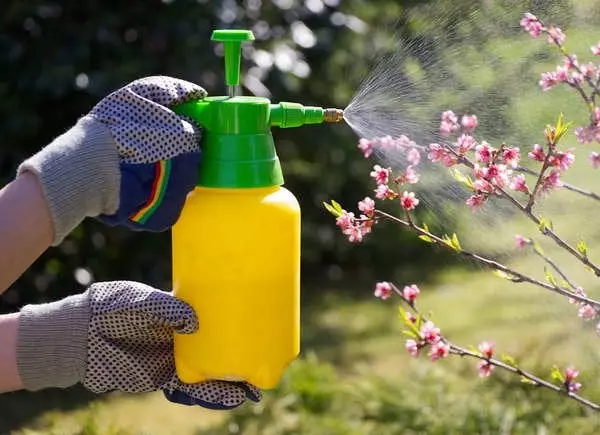 Como descartar pesticidas