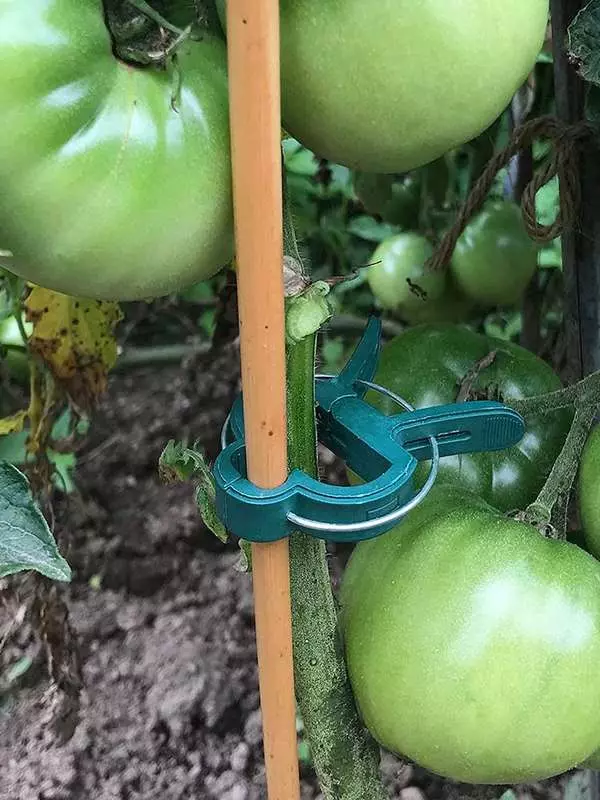 Jardí de llit elevat amb clip de plantes