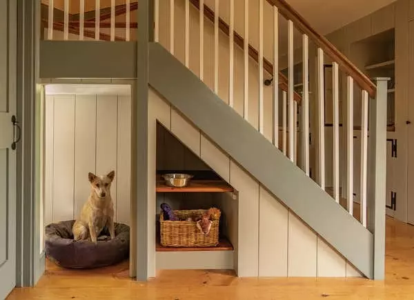caseta para cans baixo as escaleiras