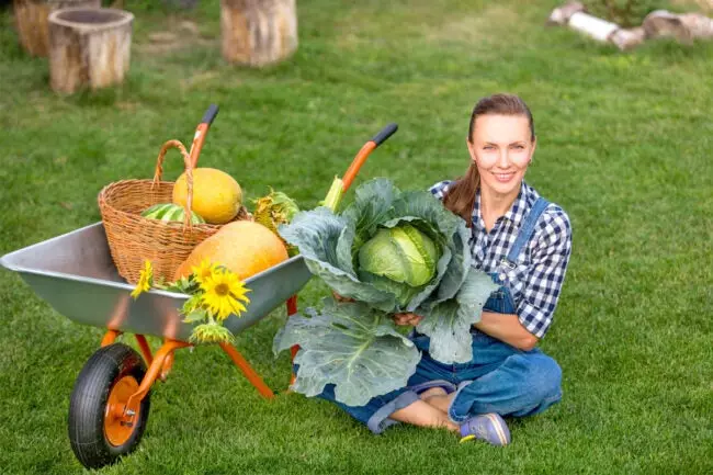 Qhov zoo tshaj plaws Garden Cart Options