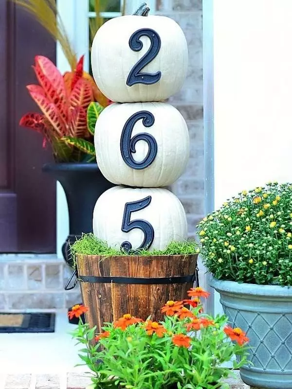 Oto Ile Number Ideas