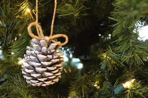 DIY Pinecone ଅଳଙ୍କାର |