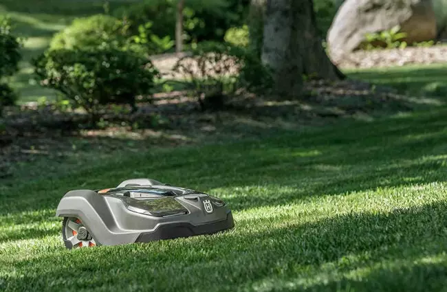 Qhov zoo tshaj plaws Robot Lawn Mower Options