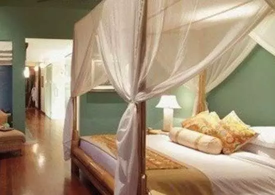 Canopy Bed