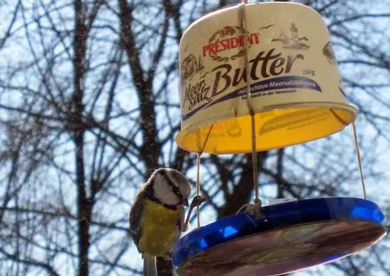 DIY Bird Feeder