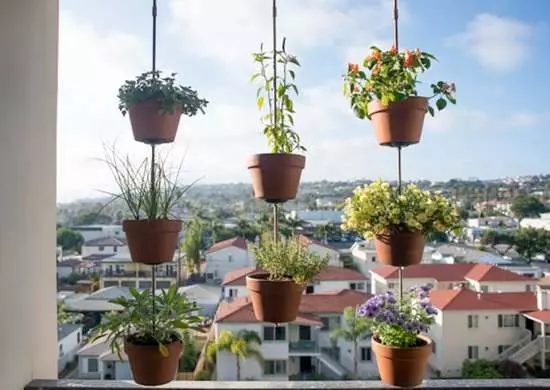 DIY Vertical Garden