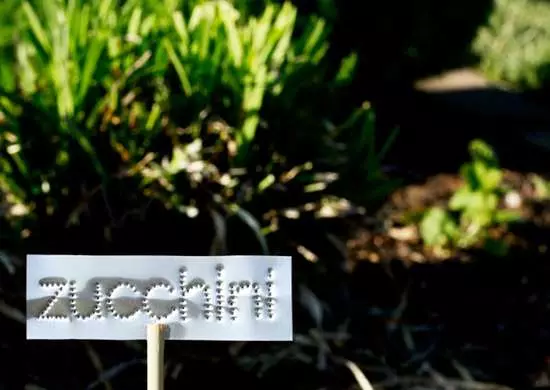 DIY Plant Markers