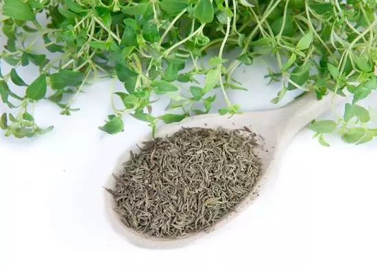 Thyme Disinfectant