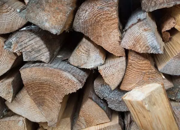 Abgelagertes Brennholz