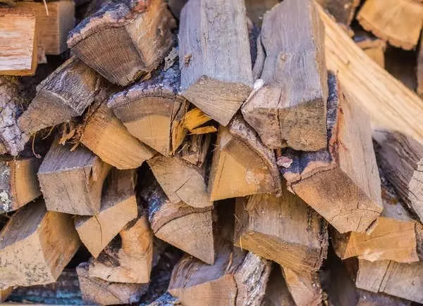 tipuri de lemn de foc de pin