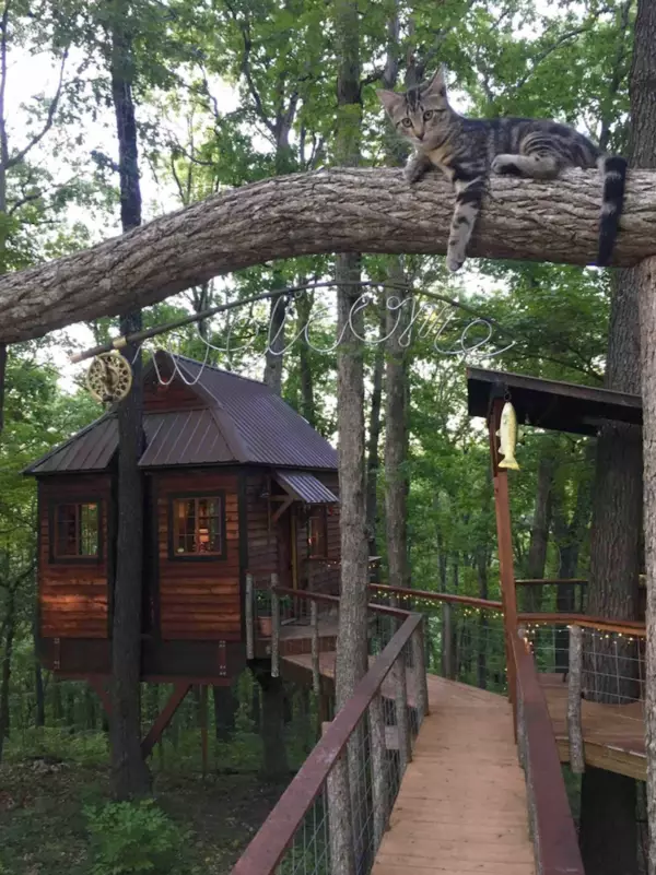 Kirada Treehouse Missouri