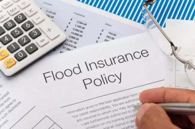Cele mai bune companii de asigurări împotriva inundațiilor din 2022