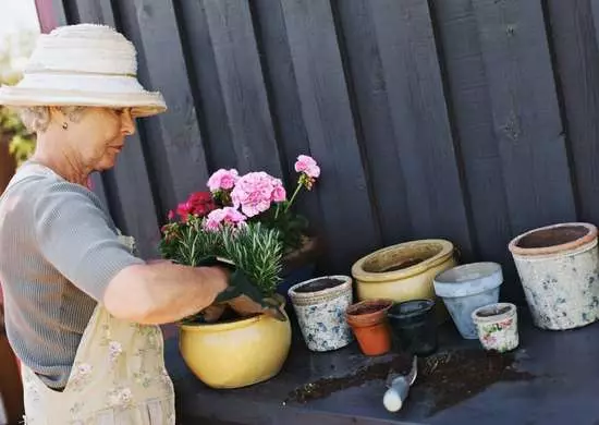 Engade grava ás plantas para un mellor drenaxe