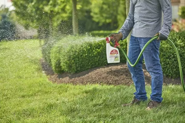 El mejor spray para garrapatas para las opciones de jardín