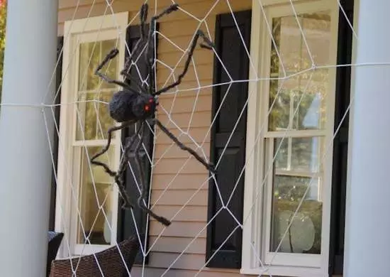 Halloween Spider Web