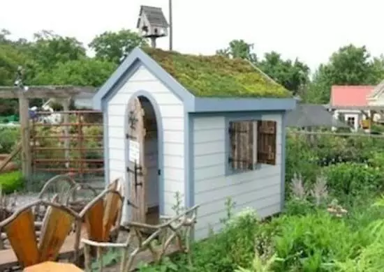 屋上緑化小屋