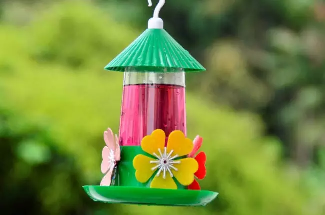 karmnik dla kolibra