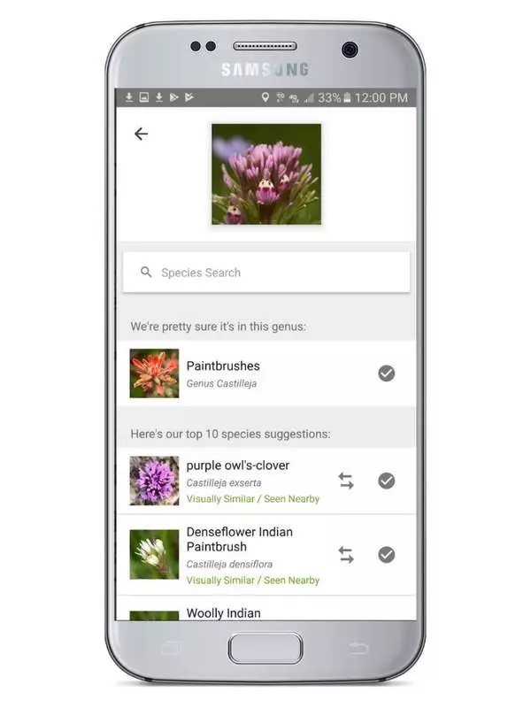 Den bästa appen för regional flora och fauna ID