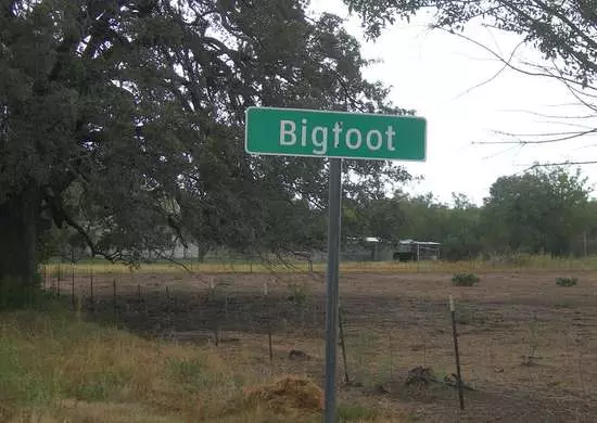 Bigfoot, Teksas