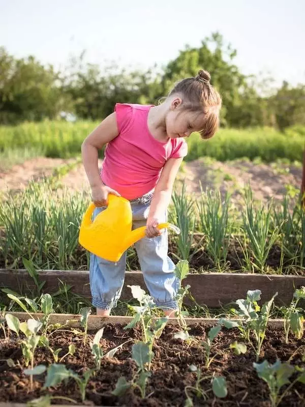 Засади зеленчукова градина